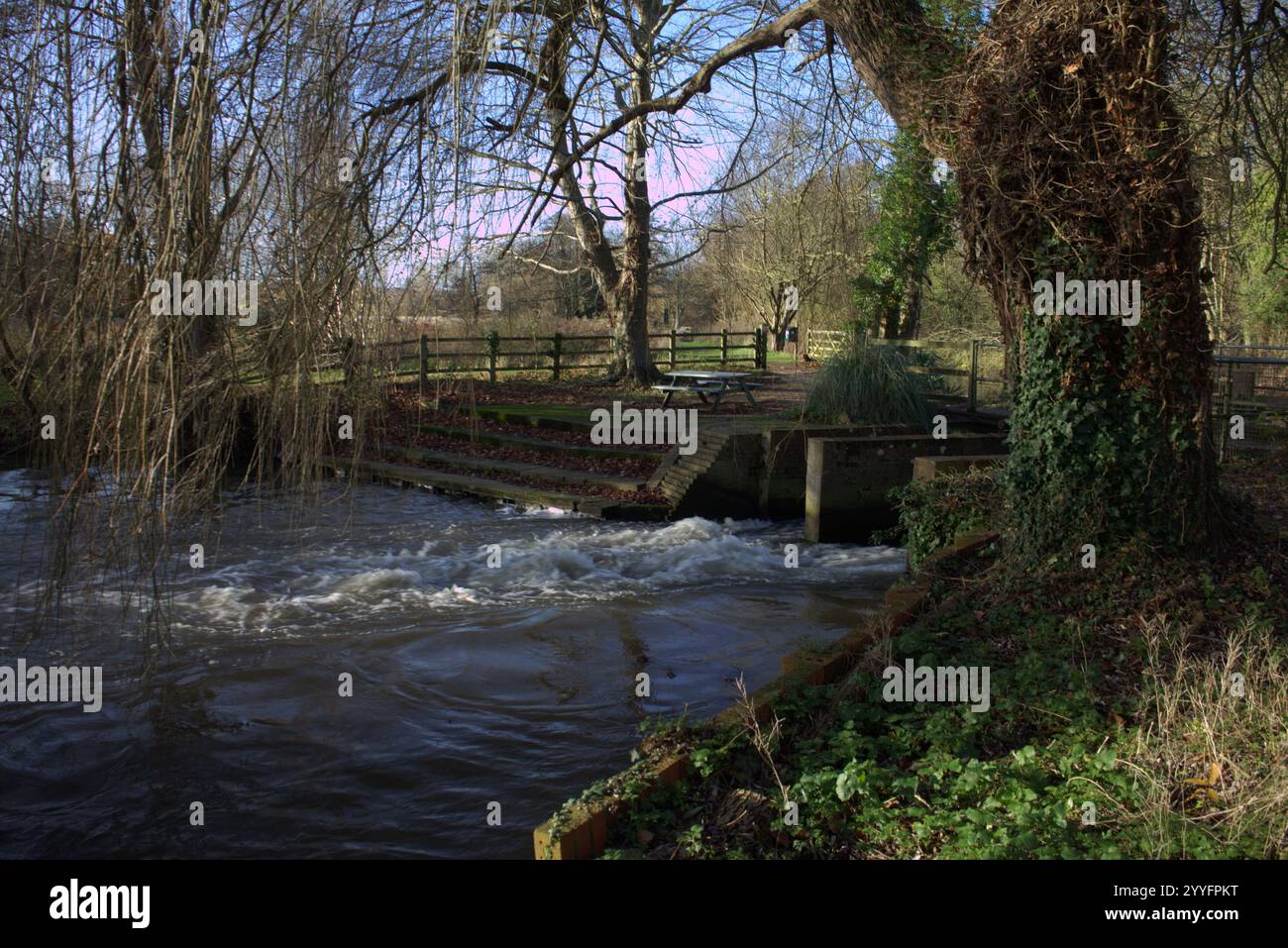 The River Wensum at the site of the former Mill at Taverham, near ...