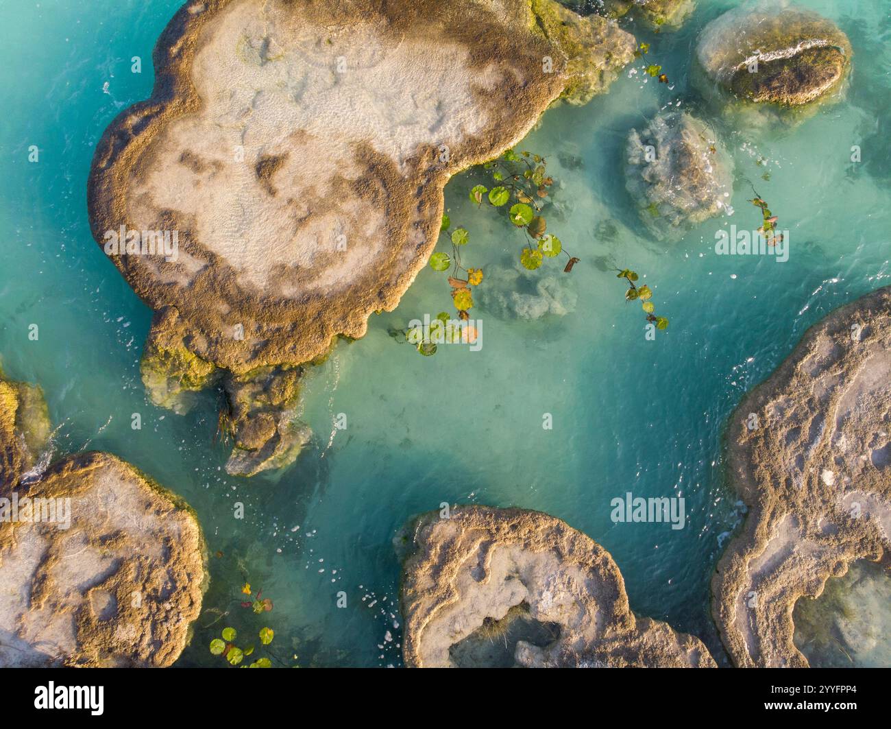 Aerial Drone Shot of Ancient Stromatolites in seven colores lagoon near ...