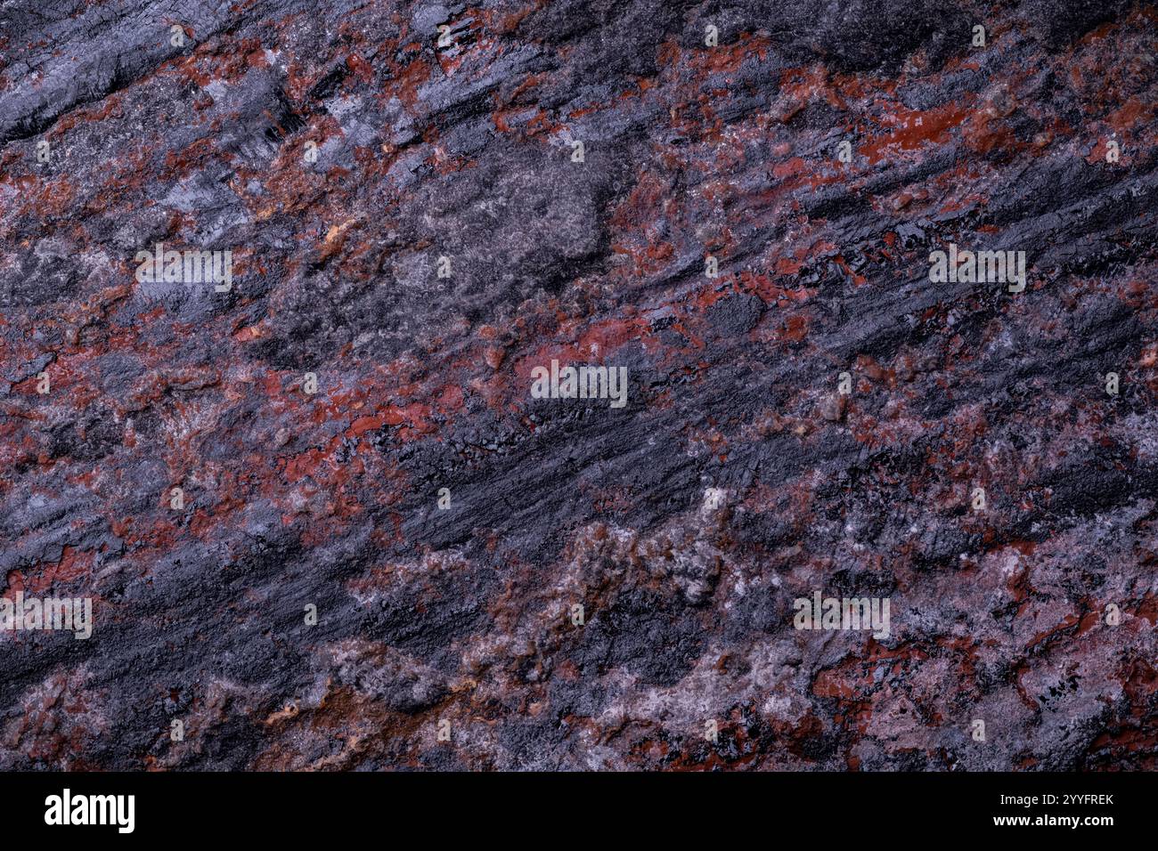 Coal texture. Specimen from Mas Dieu, Laval-Pradel, France. macro ...