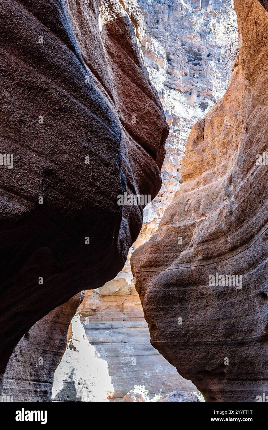 A narrow canyon with a large rock wall on either side. The sunlight is ...