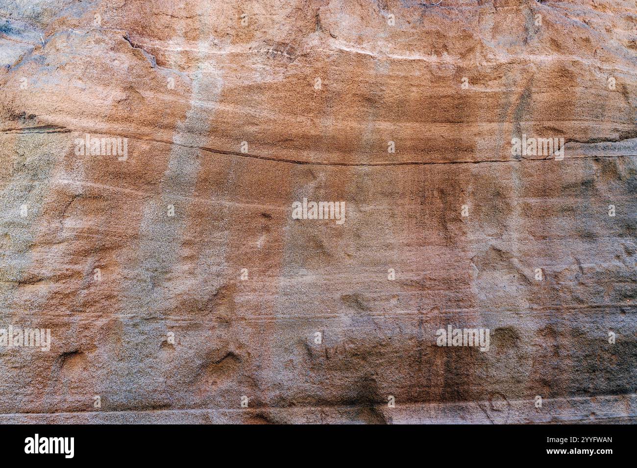 A rough, textured surface with a lot of bumps and ridges. The surface ...