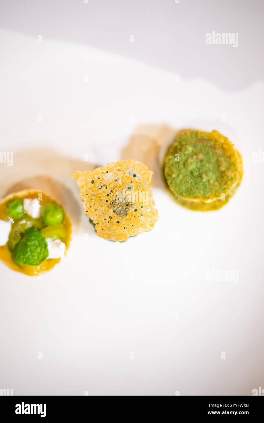 Elegant bite sized appetizers arranged on a plate, exquisite dish ...