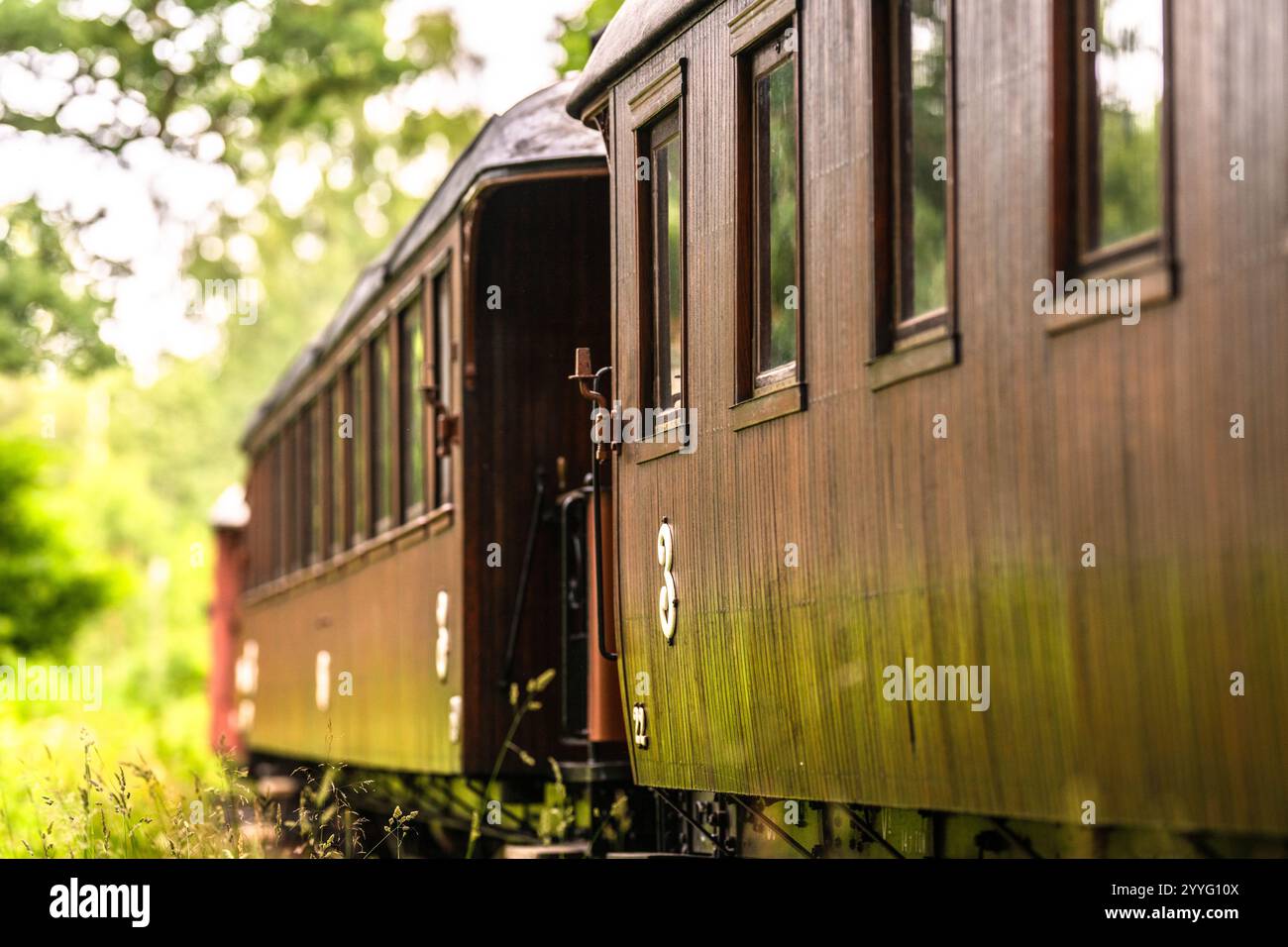 Wooden train cars on a forest line Stock Photo - Alamy
