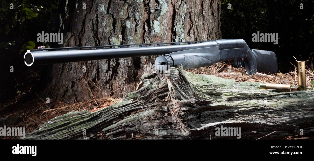 Semi automatic 12 gauge shotgun over a log in the forest ready for bird ...
