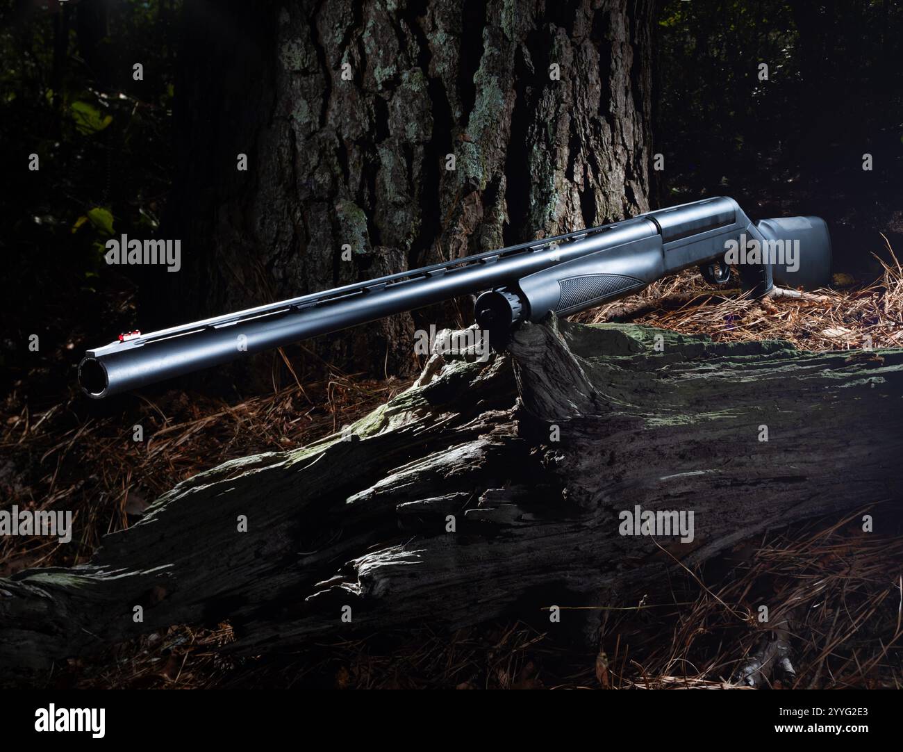 Shotgun barrel making hi-res stock photography and images - Alamy