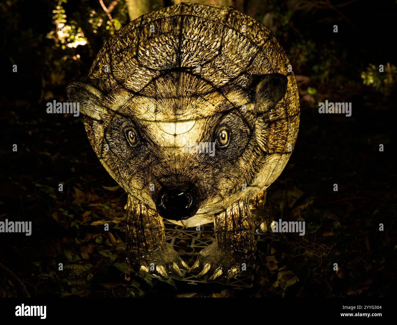 HELIGAN CHRISTMAS LIGHTS HELIGAN NIGHT GARDEN LOST GARDENS OF HELIGAN ...