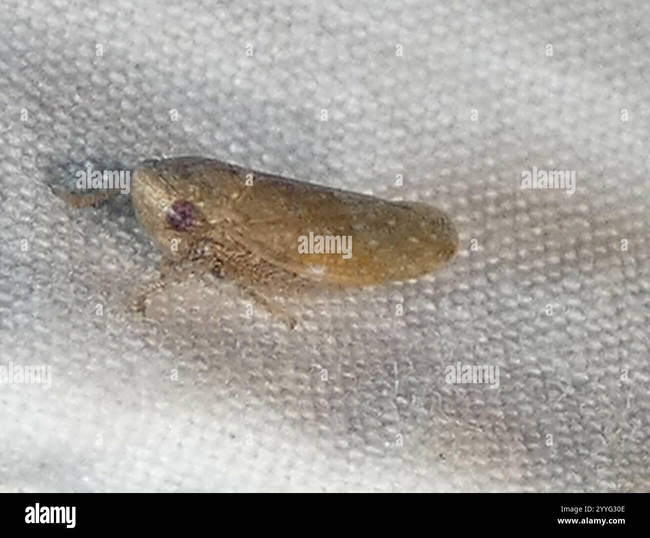 Continuus hi-res stock photography and images - Alamy