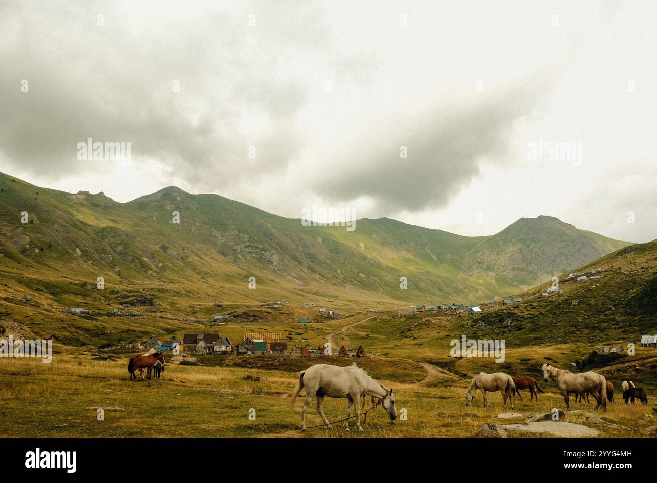 Albanian alps, Peaks of the Balkans trail Stock Photo - Alamy