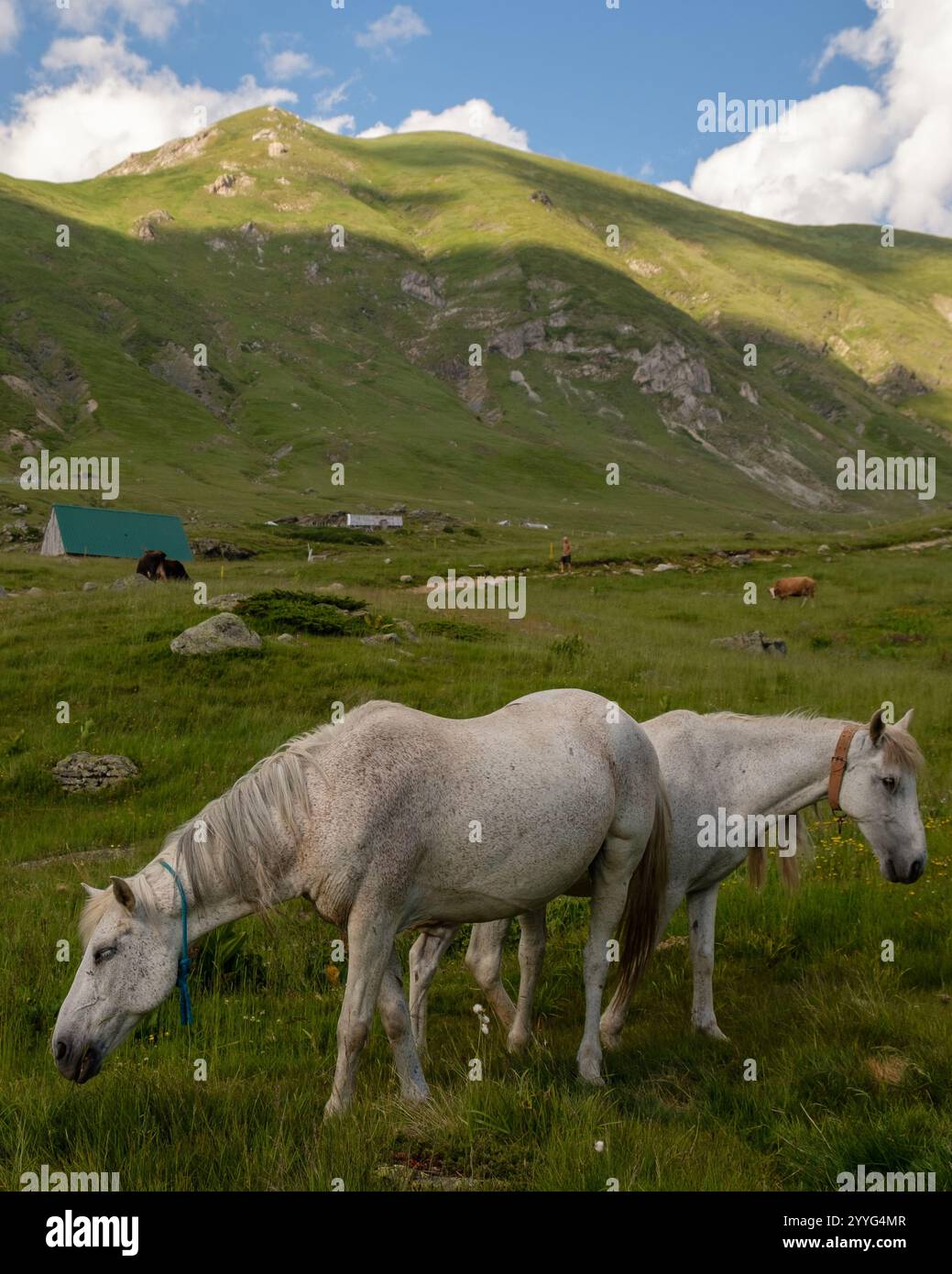 Albanian alps, Peaks of the Balkans trail Stock Photo - Alamy