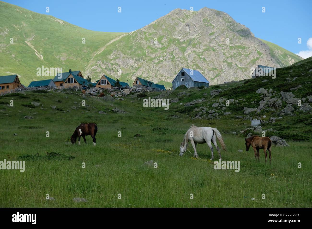Albanian alps, Peaks of the Balkans trail Stock Photo - Alamy
