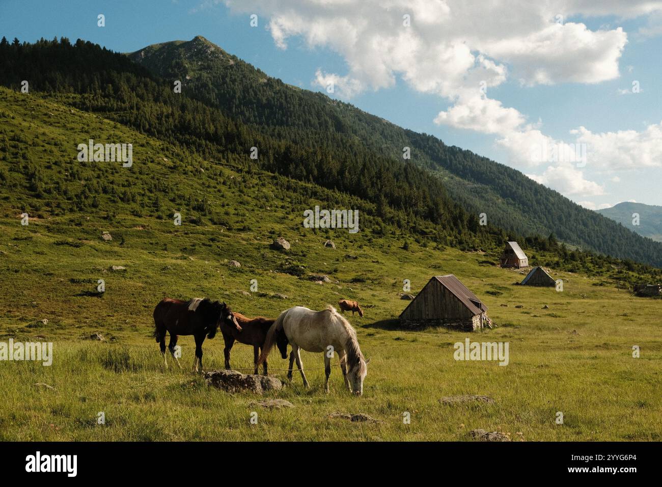 Albanian alps, Peaks of the Balkans trail Stock Photo - Alamy