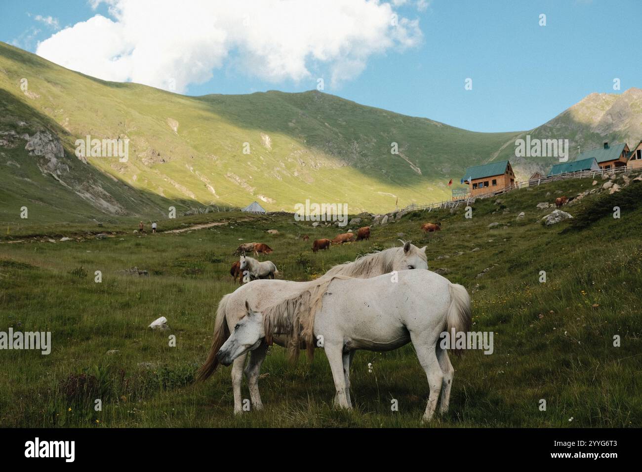 Albanian alps, Peaks of the Balkans trail Stock Photo - Alamy