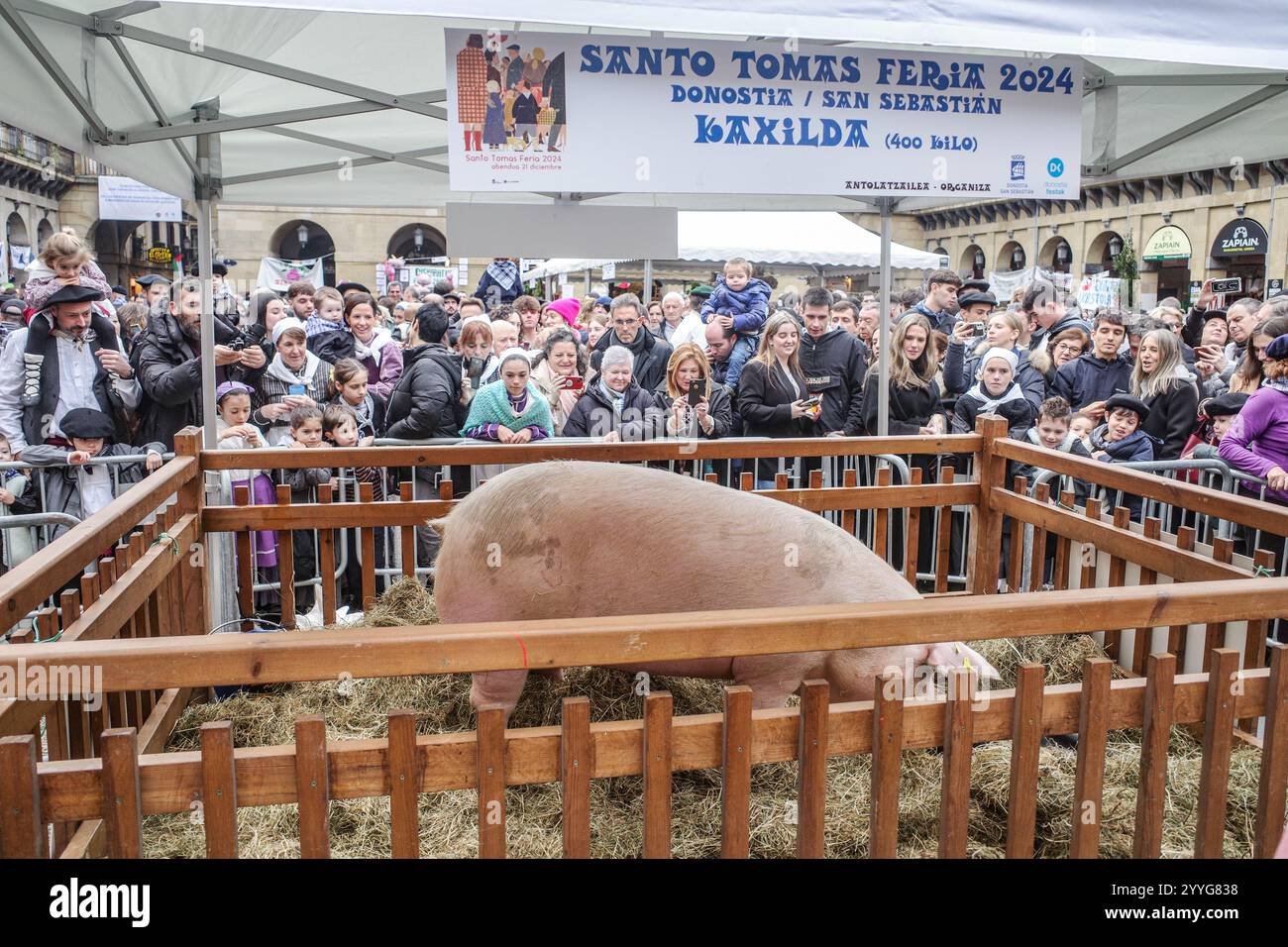 San Sebastian, Spain - 21 Dec, 2024: Pig, 'Kaxilda', on display at part ...