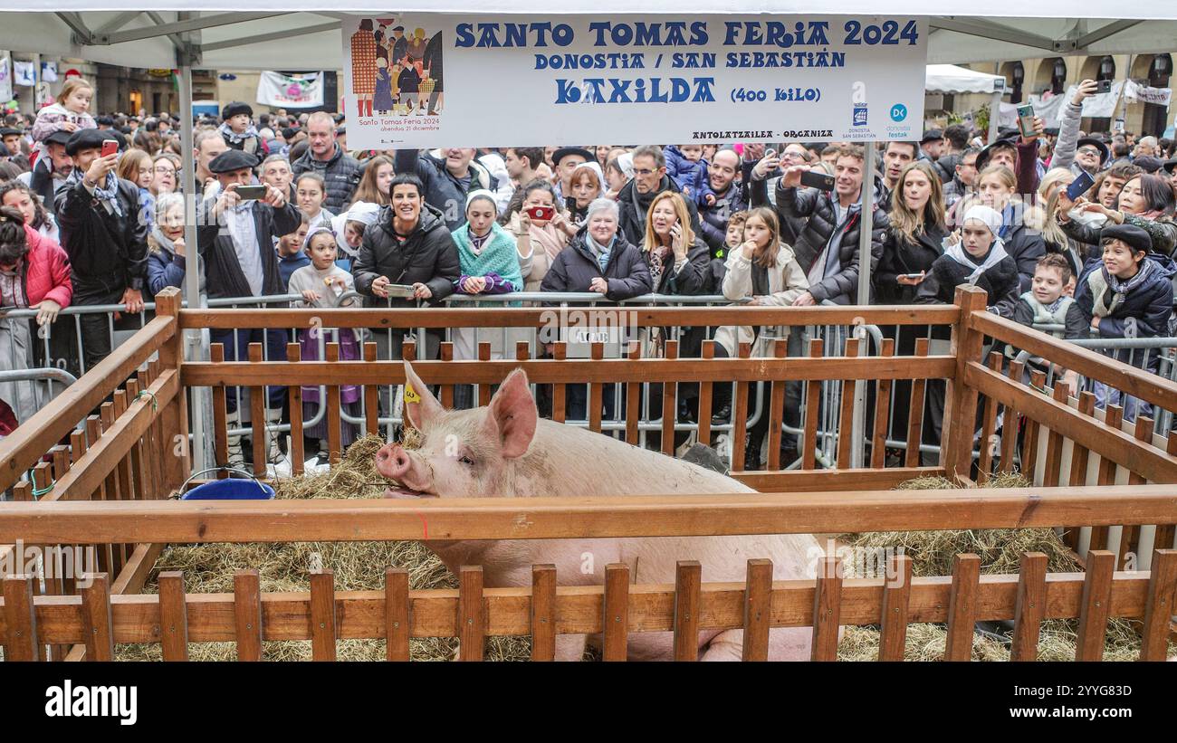San Sebastian, Spain - 21 Dec, 2024: Pig, 'Kaxilda', on display at part ...