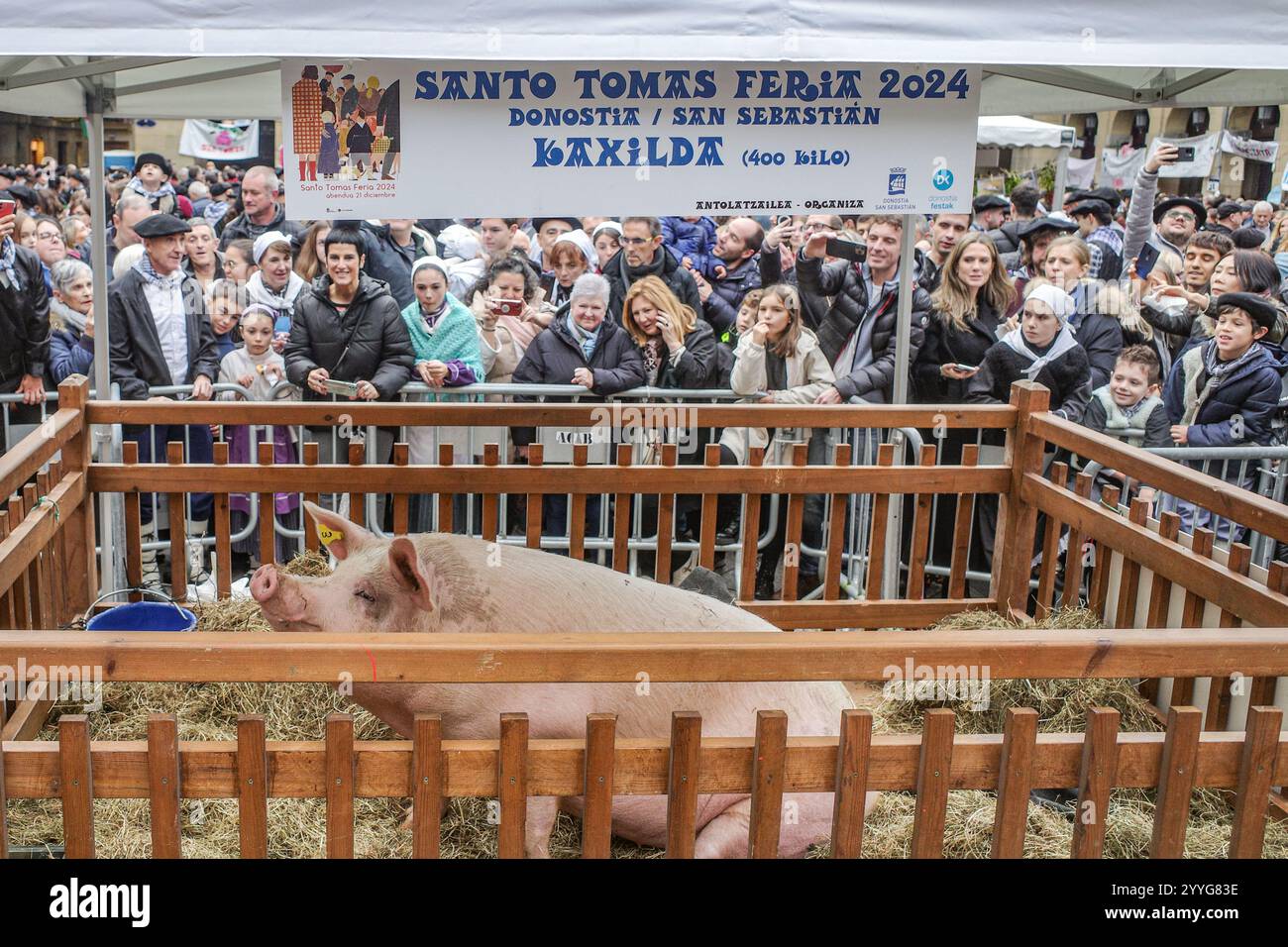 San Sebastian, Spain - 21 Dec, 2024: Pig, 'Kaxilda', on display at part ...