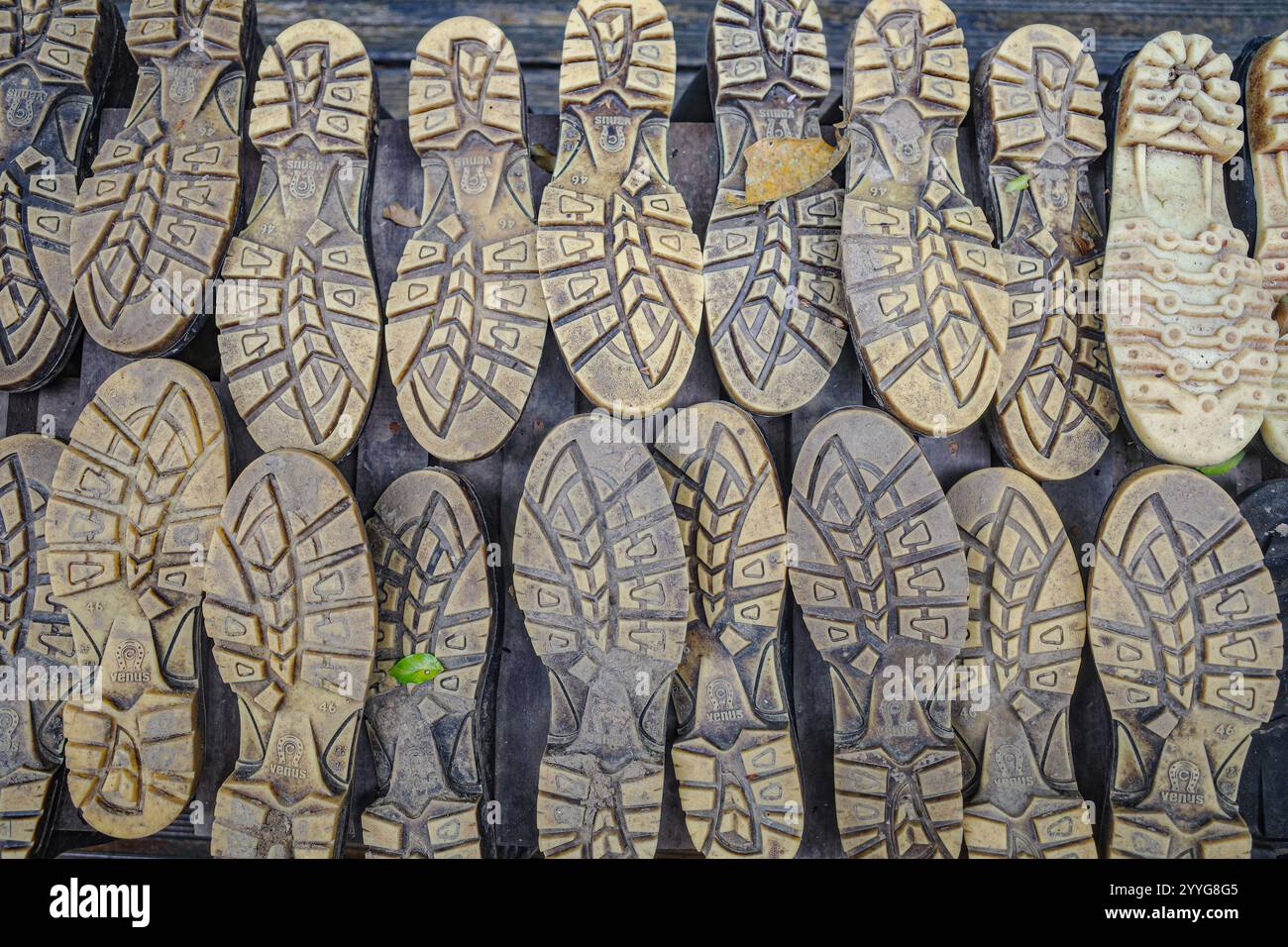 Tambopata, Peru - 27 Nov, 2024: Waterproof rubber boots for excursions ...