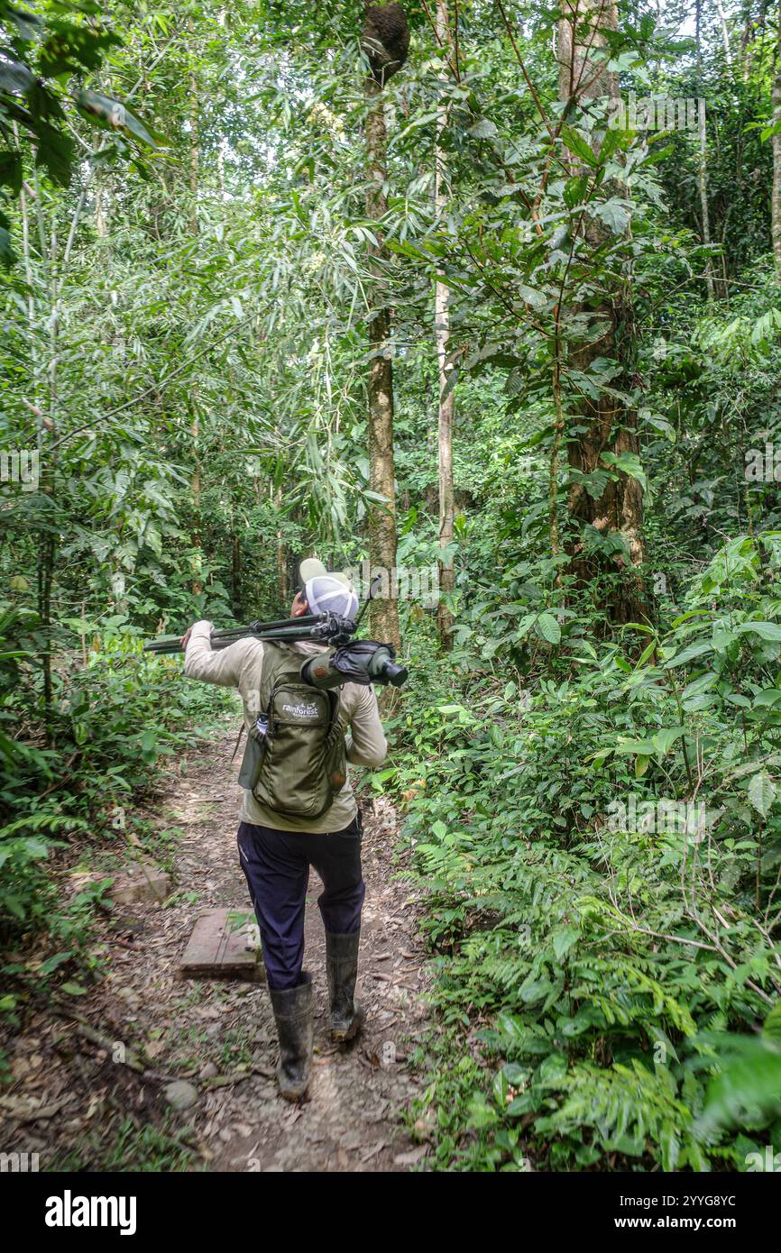 Tambopata, Peru - 27 Nov, 2024: Guided nature walks from an ecotourism ...