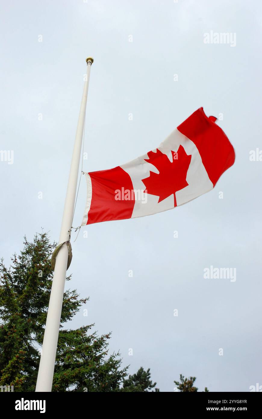 Canadian Flag at half mast blowing in the wind during remembrance ...