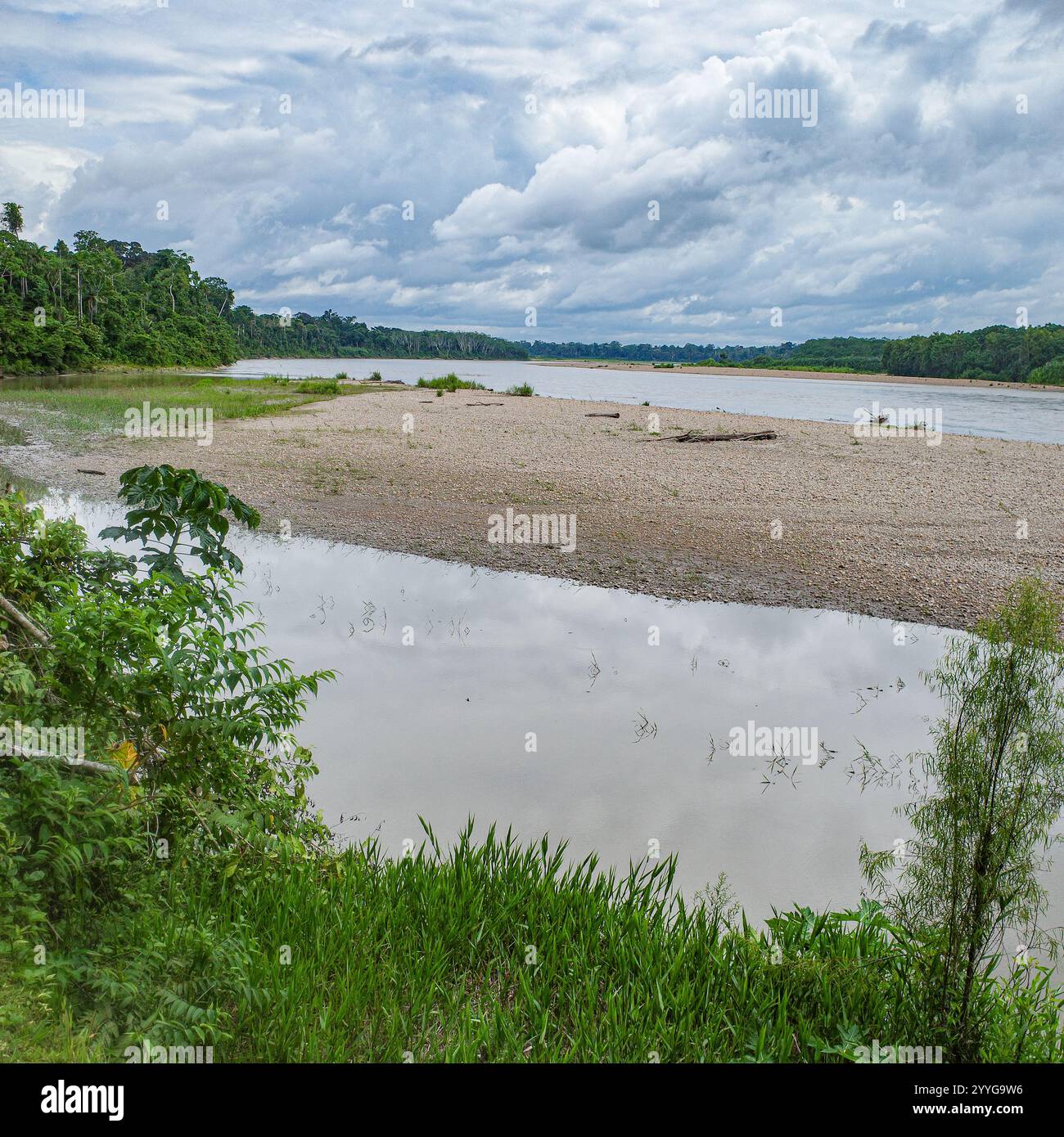 Tambopata, Peru - 25 Nov, 2024: Amazon rainforest landscapes along the ...