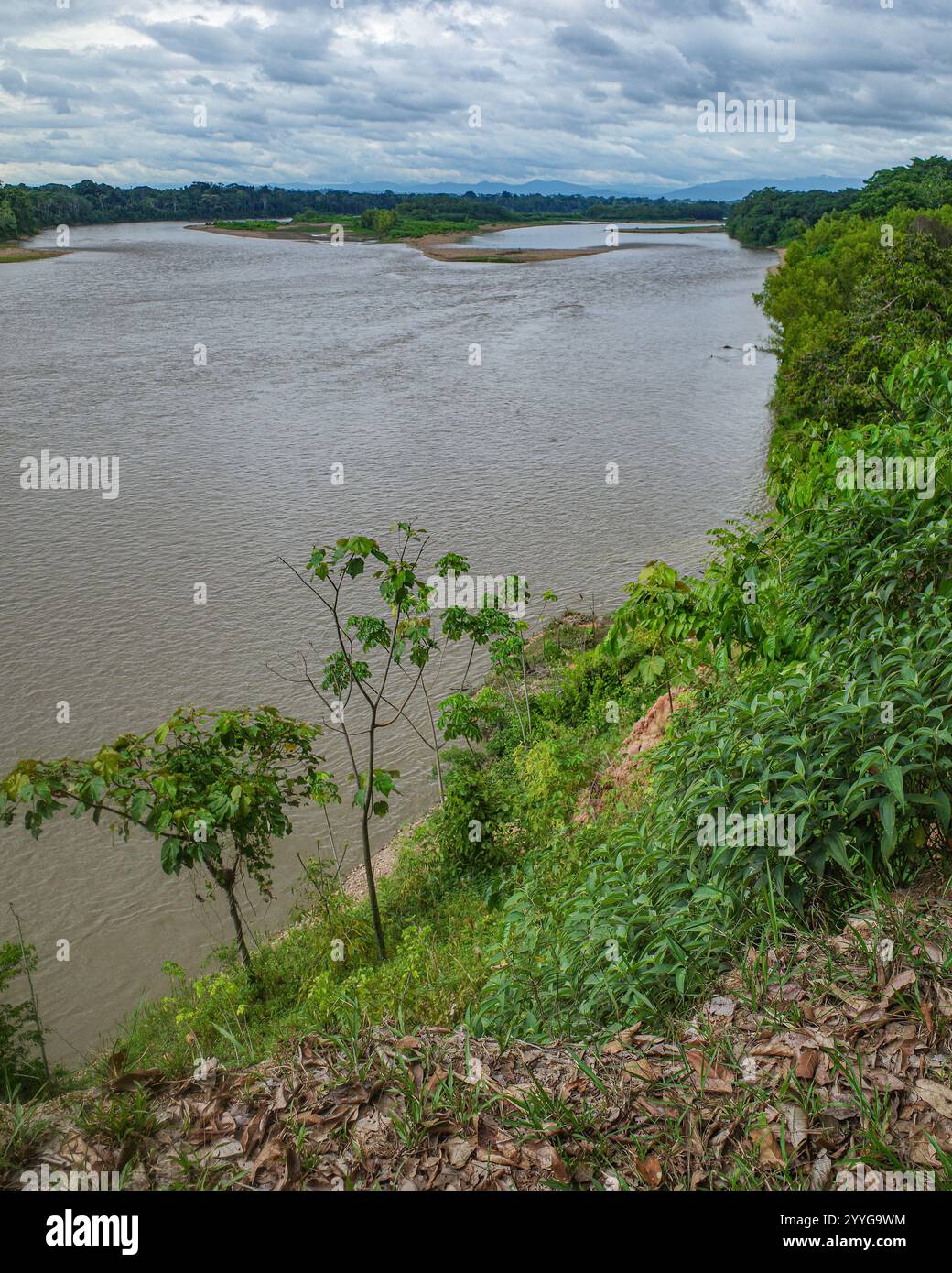 Tambopata, Peru - 25 Nov, 2024: Amazon rainforest landscapes along the ...