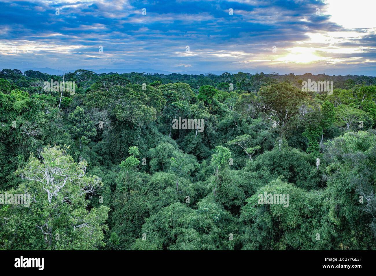 Tambopata, Peru - 26 Nov, 2024: Views over the Amazon rain forest ...