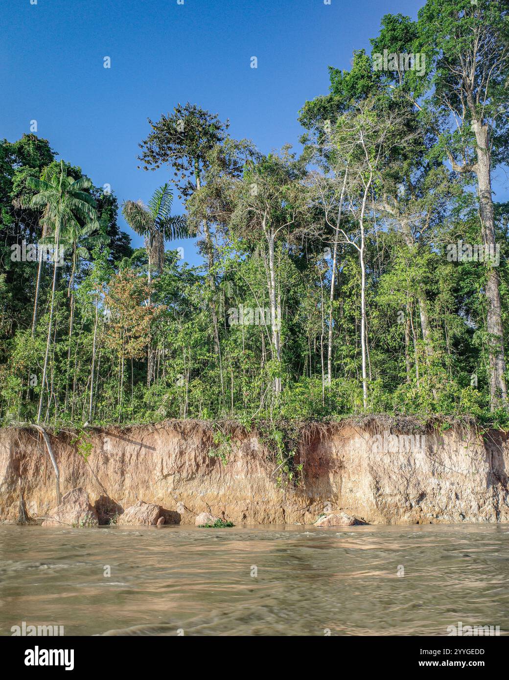 Tambopata, Peru - 25 Nov, 2024: Amazon rainforest landscapes along the ...