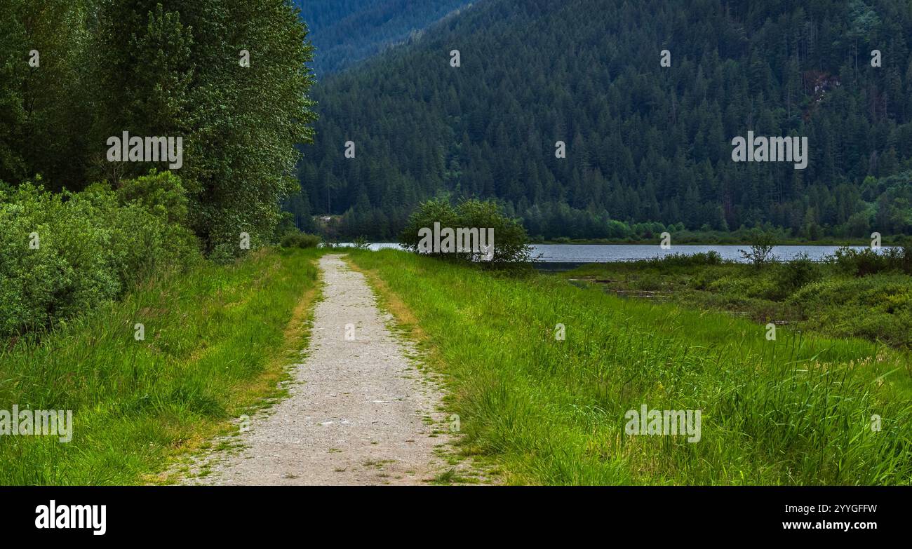 A path way passage through the forest. walking path through the forest ...