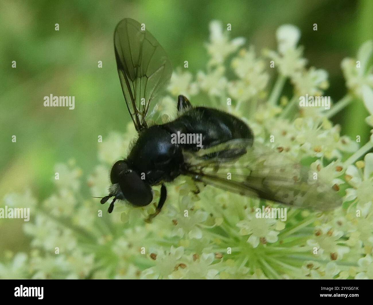 Pitheads hi-res stock photography and images - Alamy