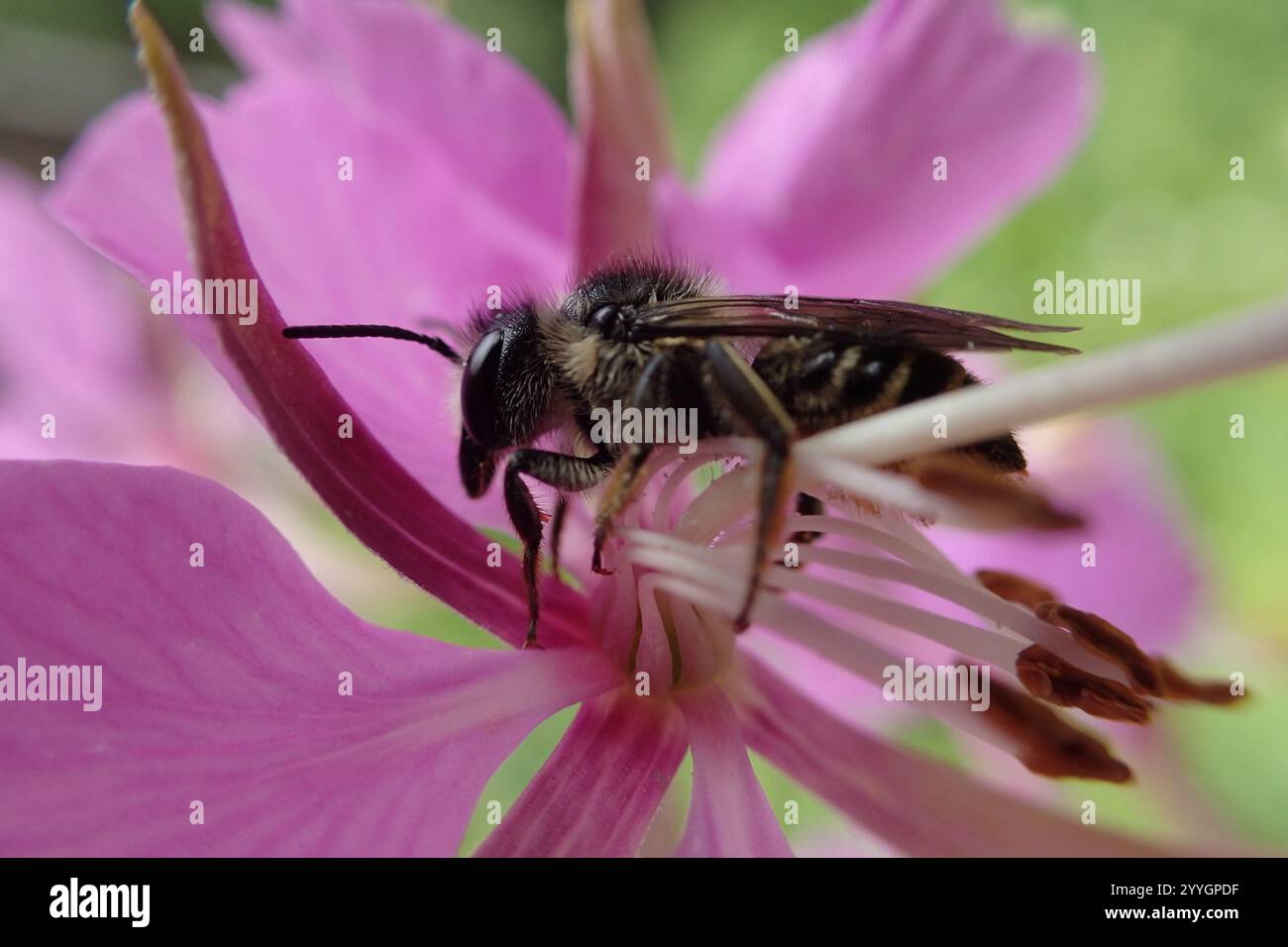 Relativa hi-res stock photography and images - Alamy