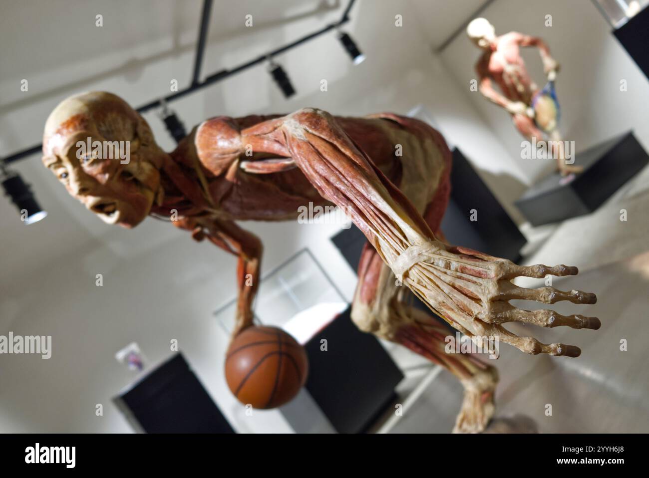 Casale Monferrato, Italy - 14 dec 2024: Famous exhibition where ...