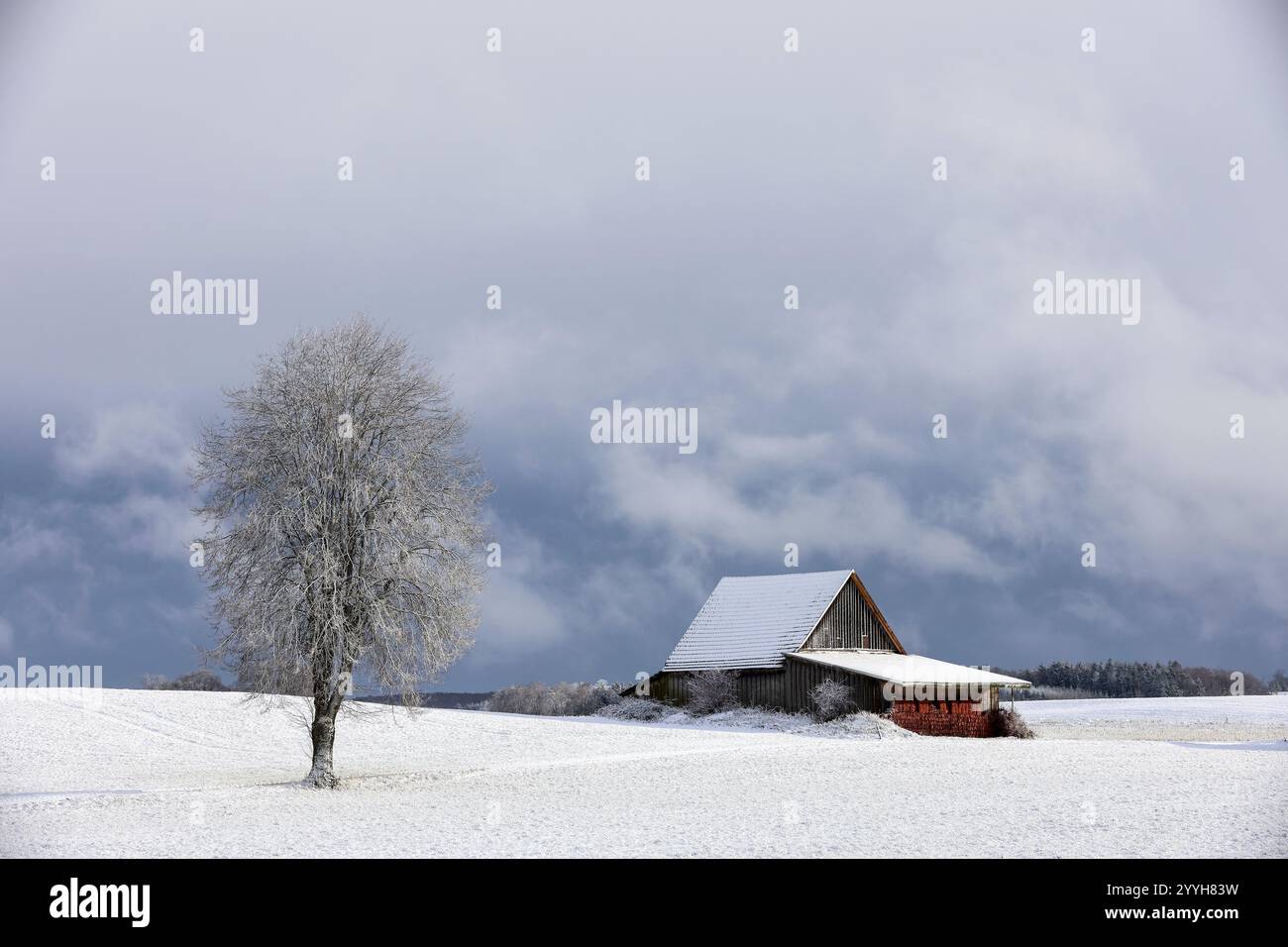Hohenstein, Germany. 22nd Dec, 2024. There is snow on the Swabian Alb ...