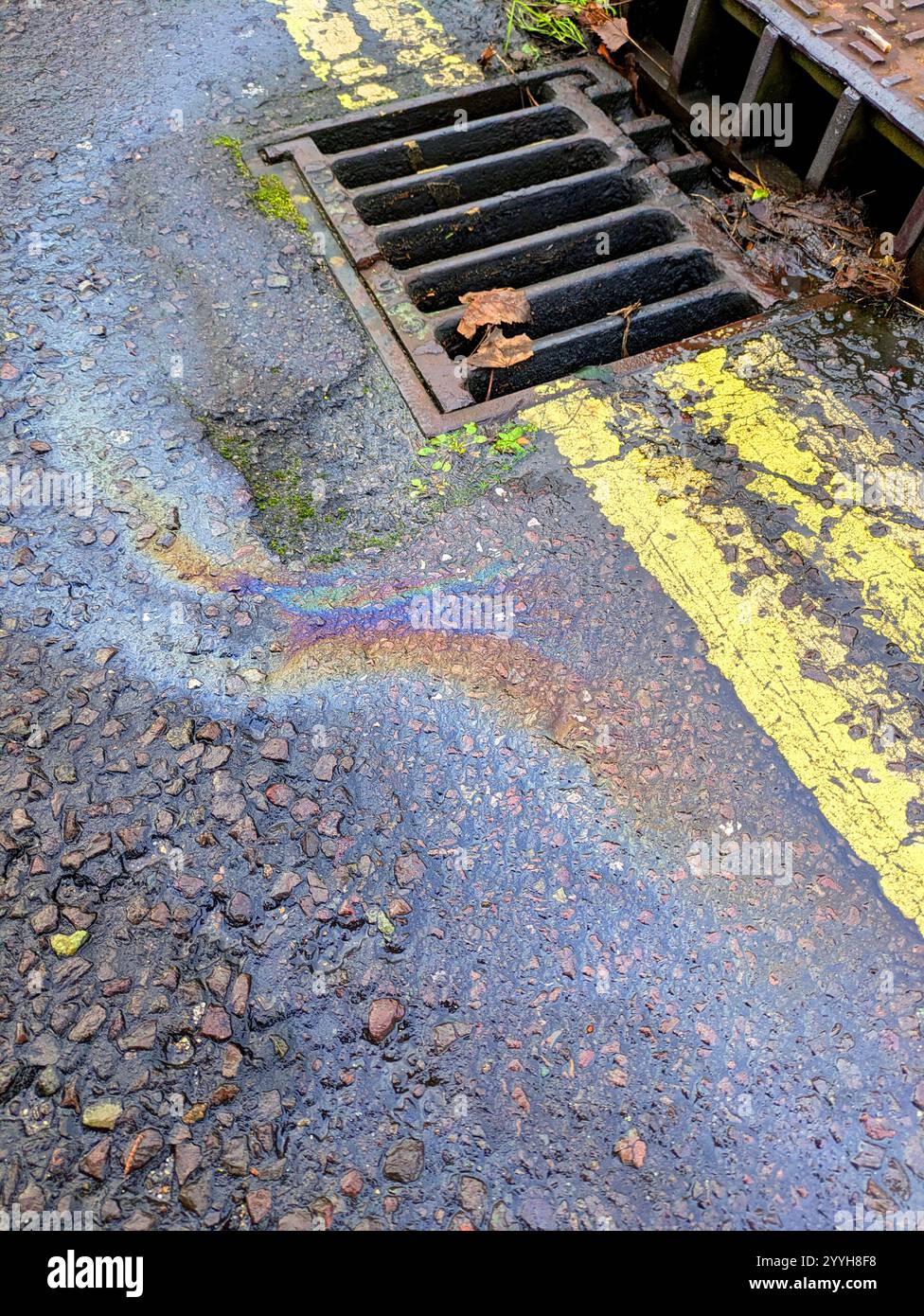 Oil Petrol Environmental Rainbow Leak Running Down a Drain Stock Photo ...