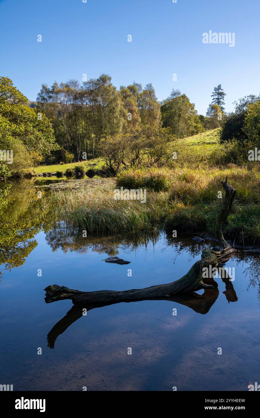 Beautiful morning around Rydal Water in the Lake District national park ...