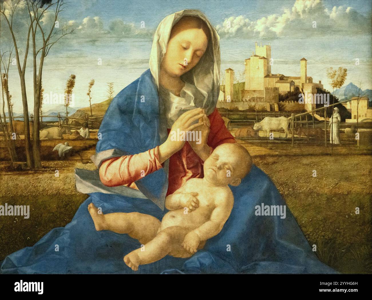 Giovanni Bellini; Madonna of the Meadow, 1500-05; Giovanni Bellini ...