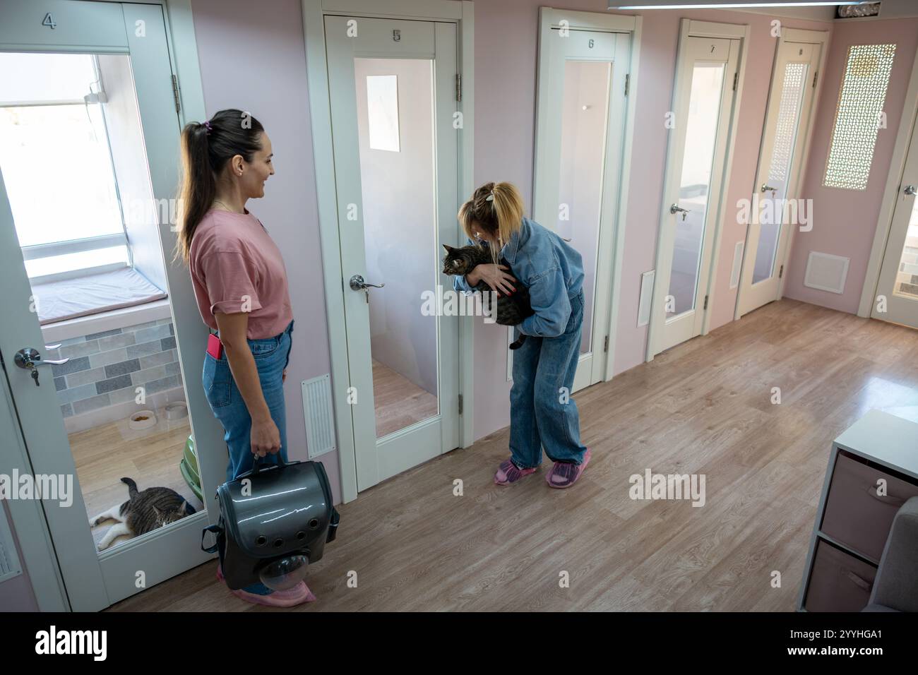 Female owner arrives at pet hotel to drop off cat. Animal check in, cat ...