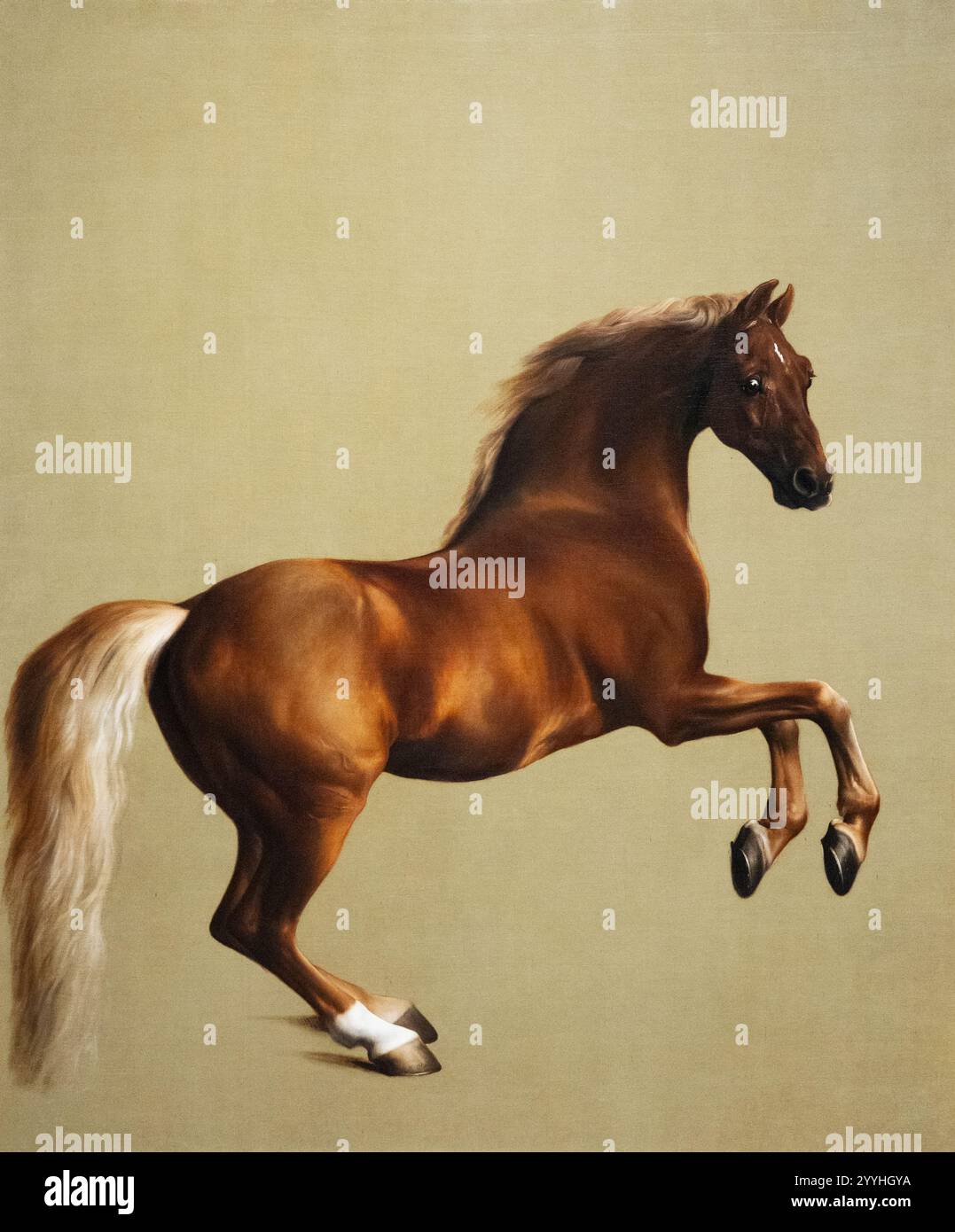 George Stubbs "Whistlejacket", c.1762. George Stubbs painting; English ...