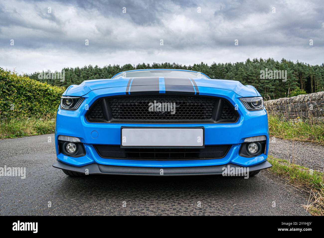 S550 Ford Mustang GT Prancing Horse Grille Closeup Stock Photo - Alamy