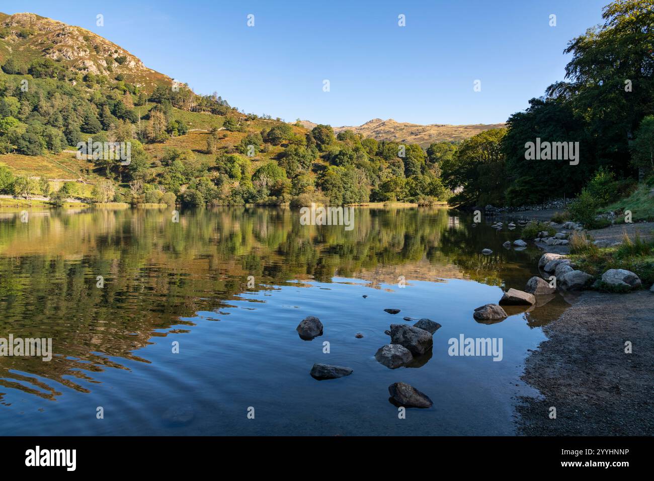 Beautiful morning around Rydal Water in the Lake District national park ...