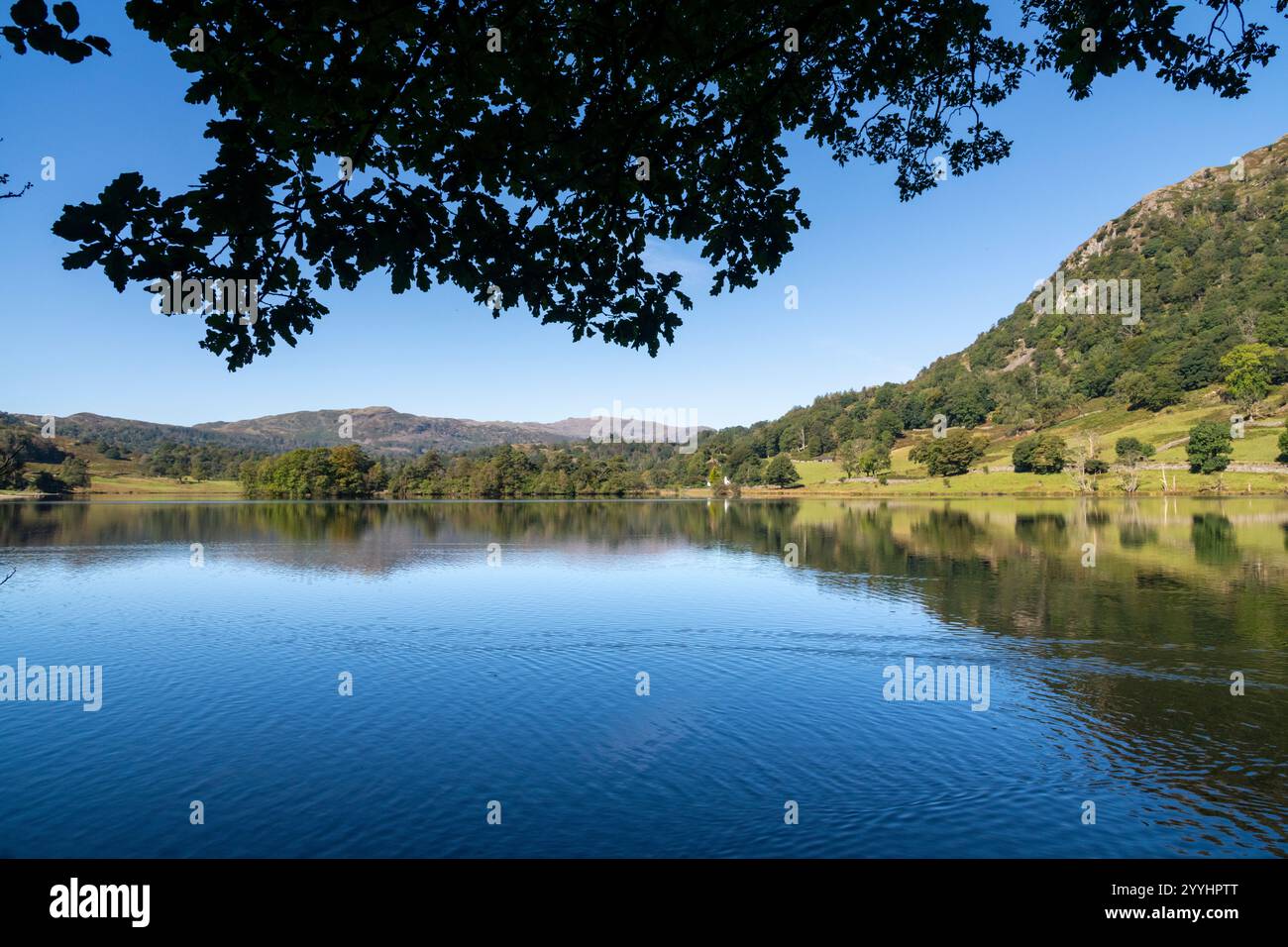 Beautiful morning around Rydal Water in the Lake District national park ...