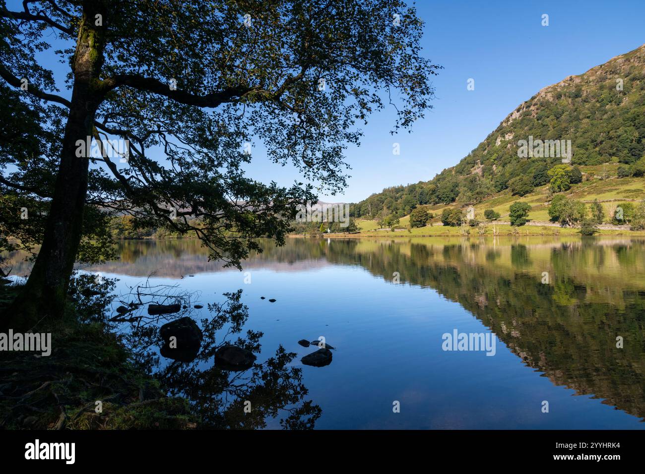 Beautiful morning around Rydal Water in the Lake District national park ...