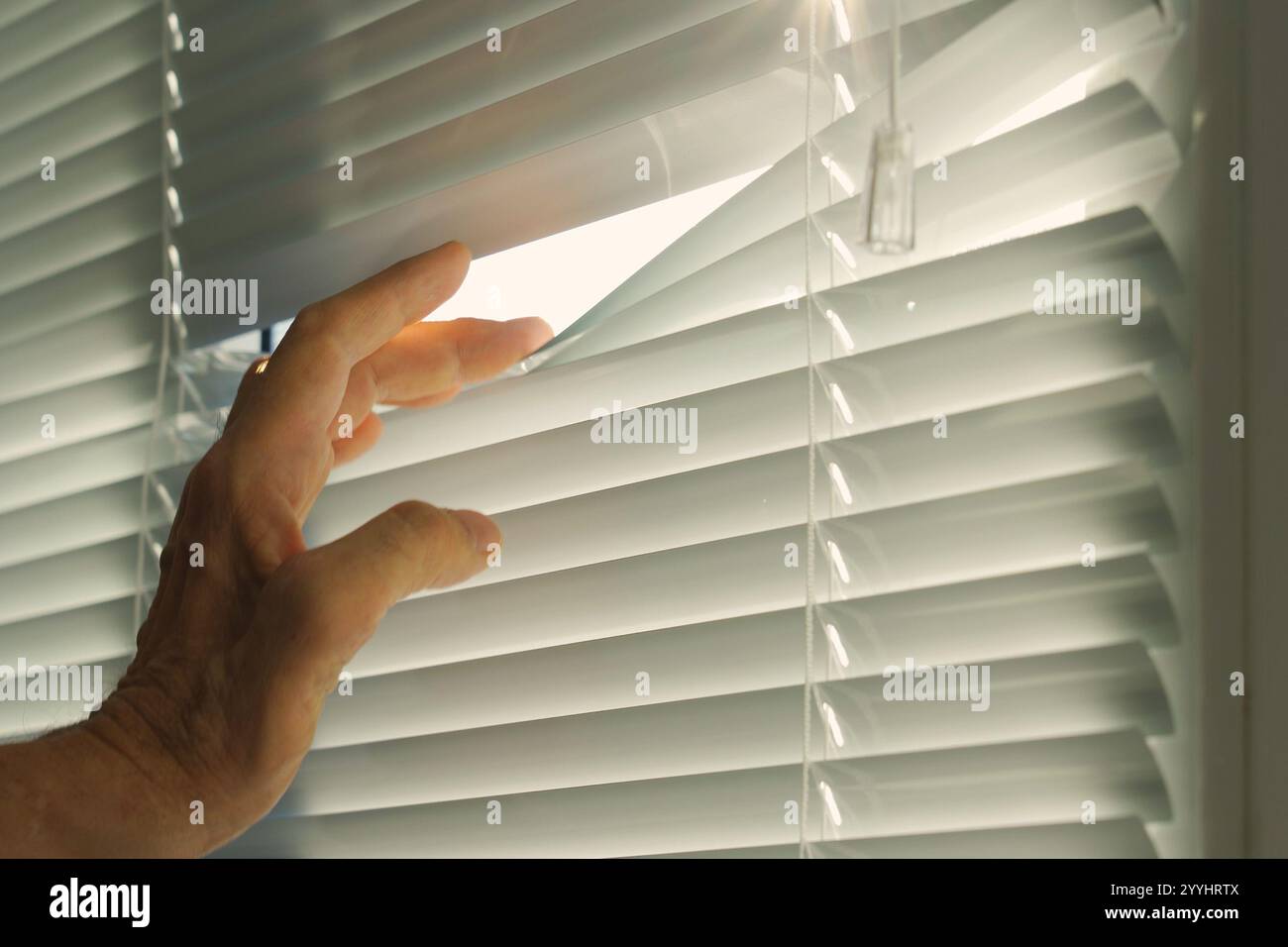 Hand, man peeking through window blinds Stock Photo - Alamy