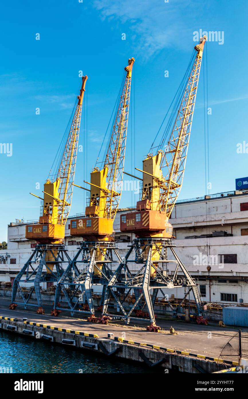 Three cranes are standing on a dock, with one crane being the tallest ...