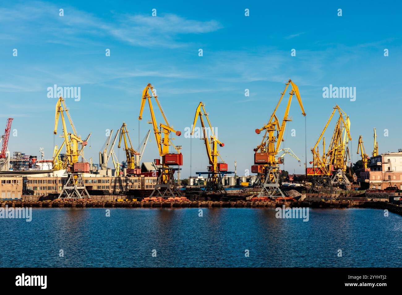 A large group of cranes are in the water near a city. The cranes are ...