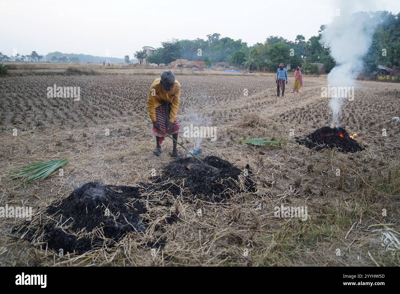 Santiniketan, Birbhum, India - December 8, 2024: The Santal community ...