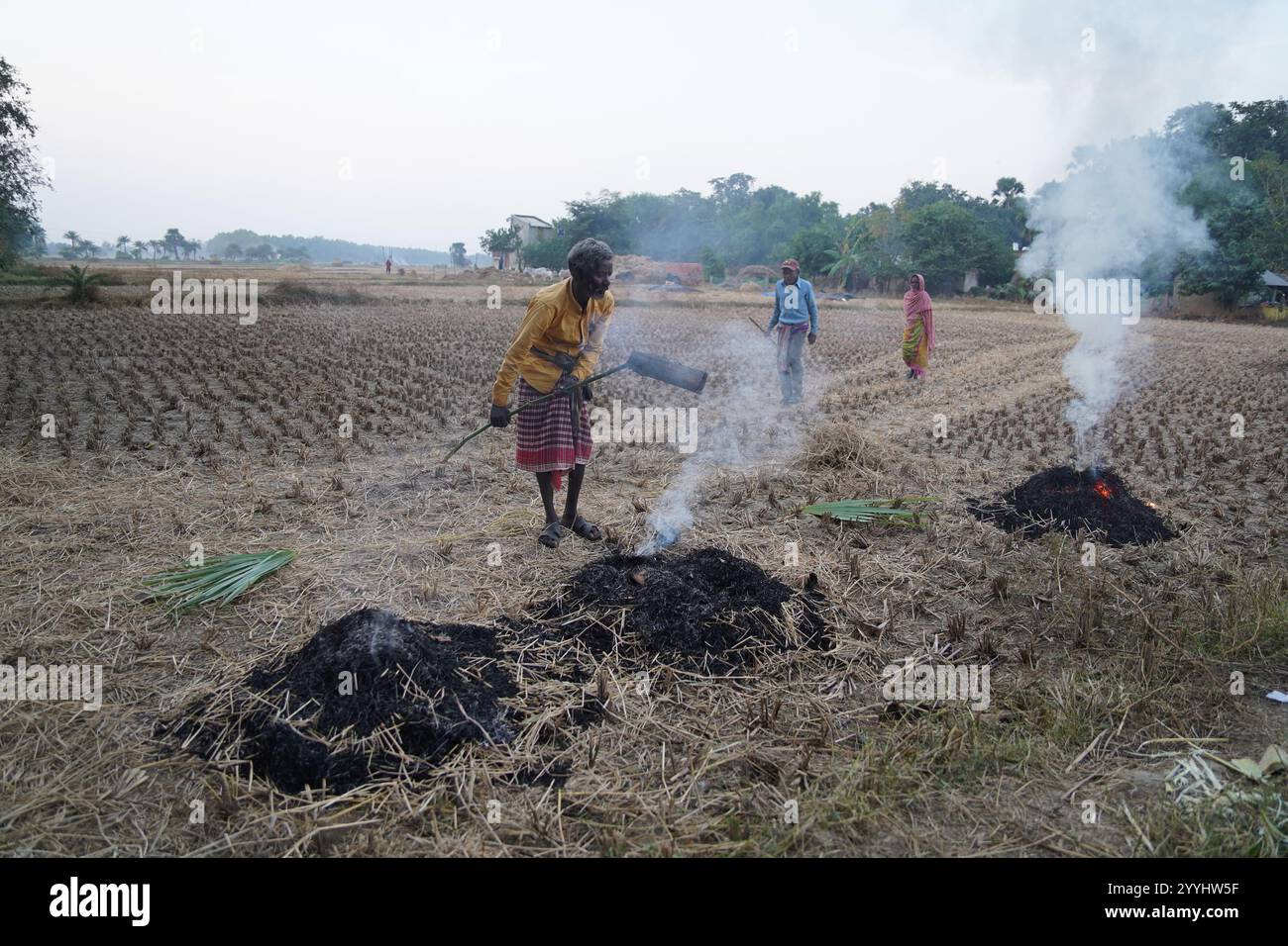 Santiniketan, Birbhum, India - December 8, 2024: The Santal community ...