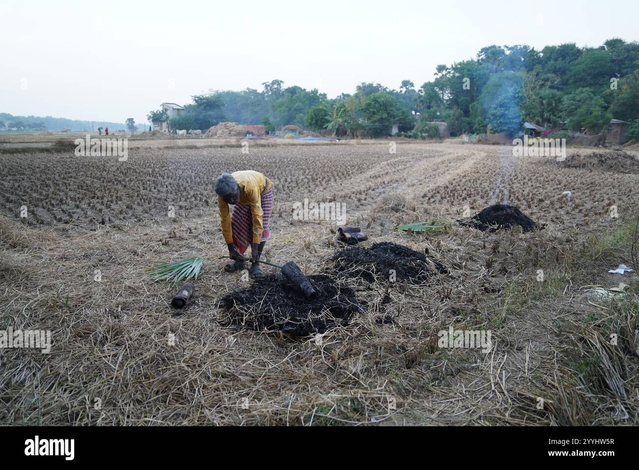 Santiniketan, Birbhum, India - December 8, 2024: The Santal community ...