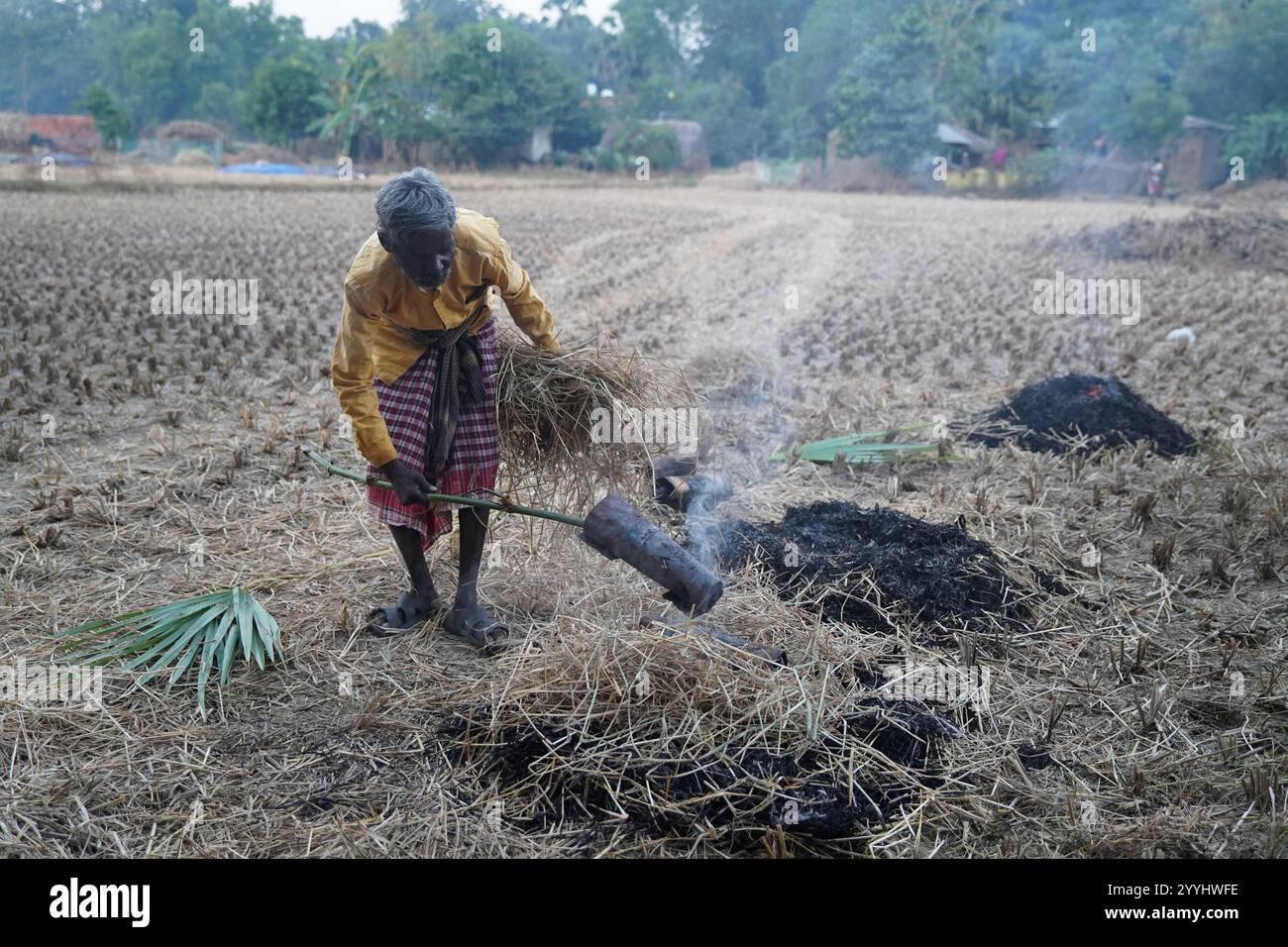 Santiniketan, Birbhum, India - December 8, 2024: The Santal community ...