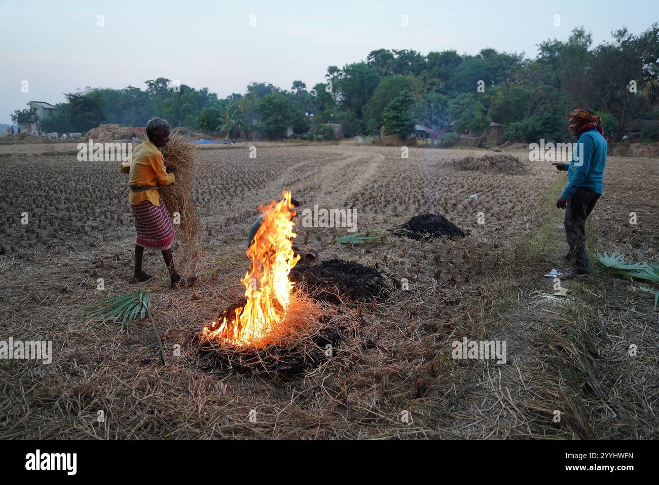 Santiniketan, Birbhum, India - December 8, 2024: The Santal community ...