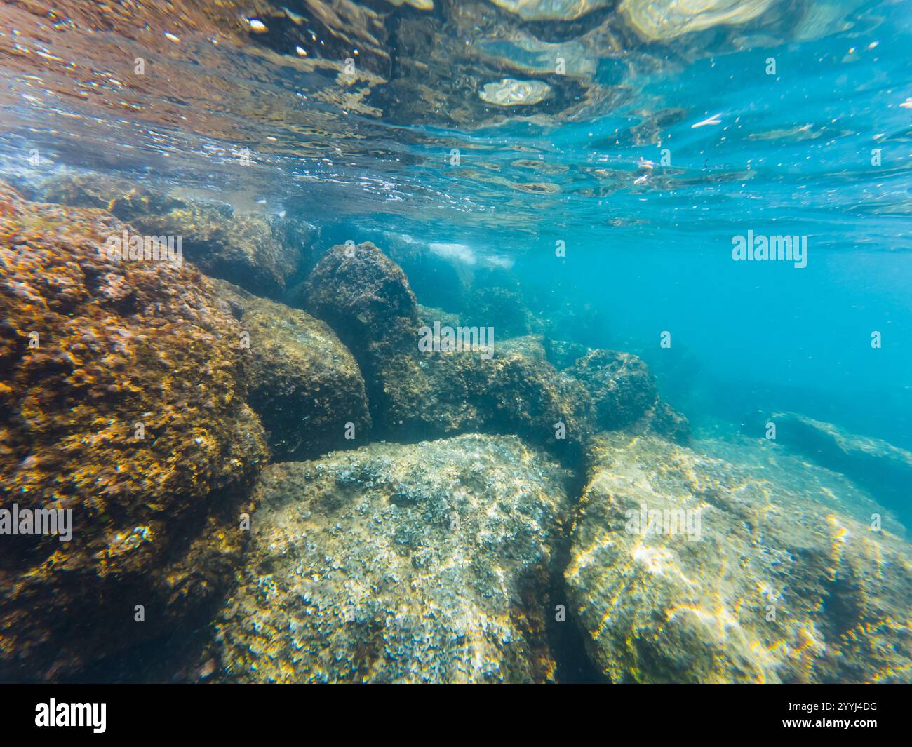 Sunlight filters through the water, illuminating a rocky underwater ...