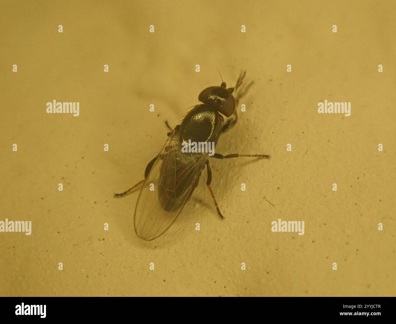 Freeloader hi-res stock photography and images - Alamy